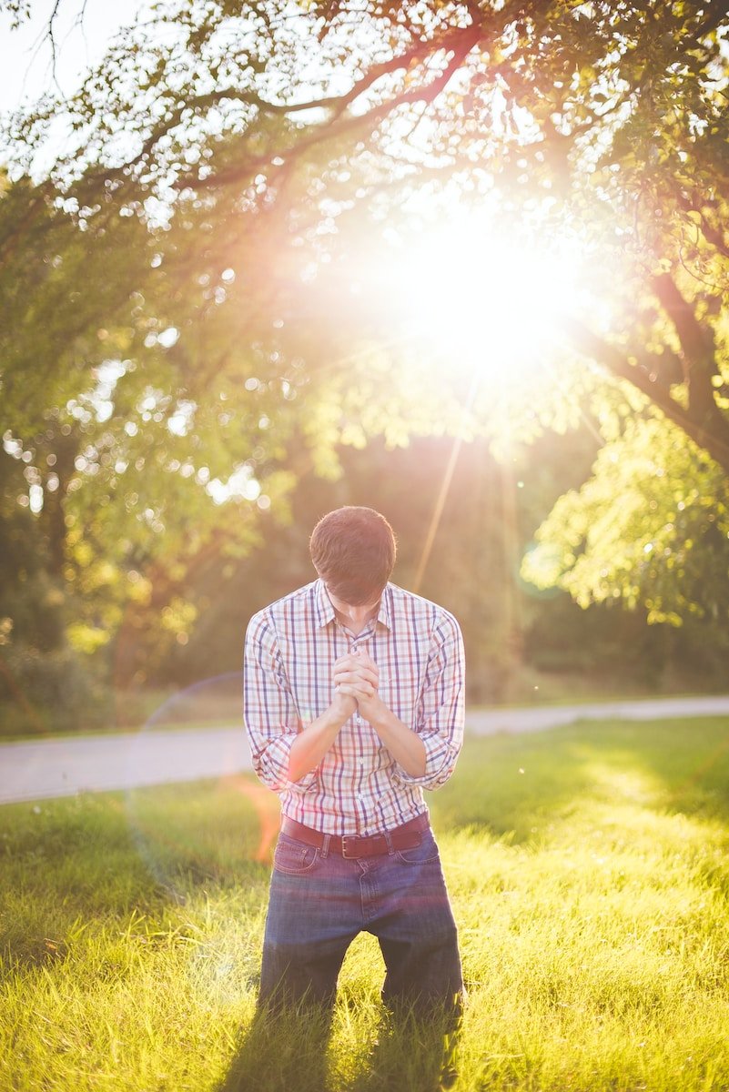 The Promise of Renewal: Being Refreshed and Restored by the Holy Spirit ...
